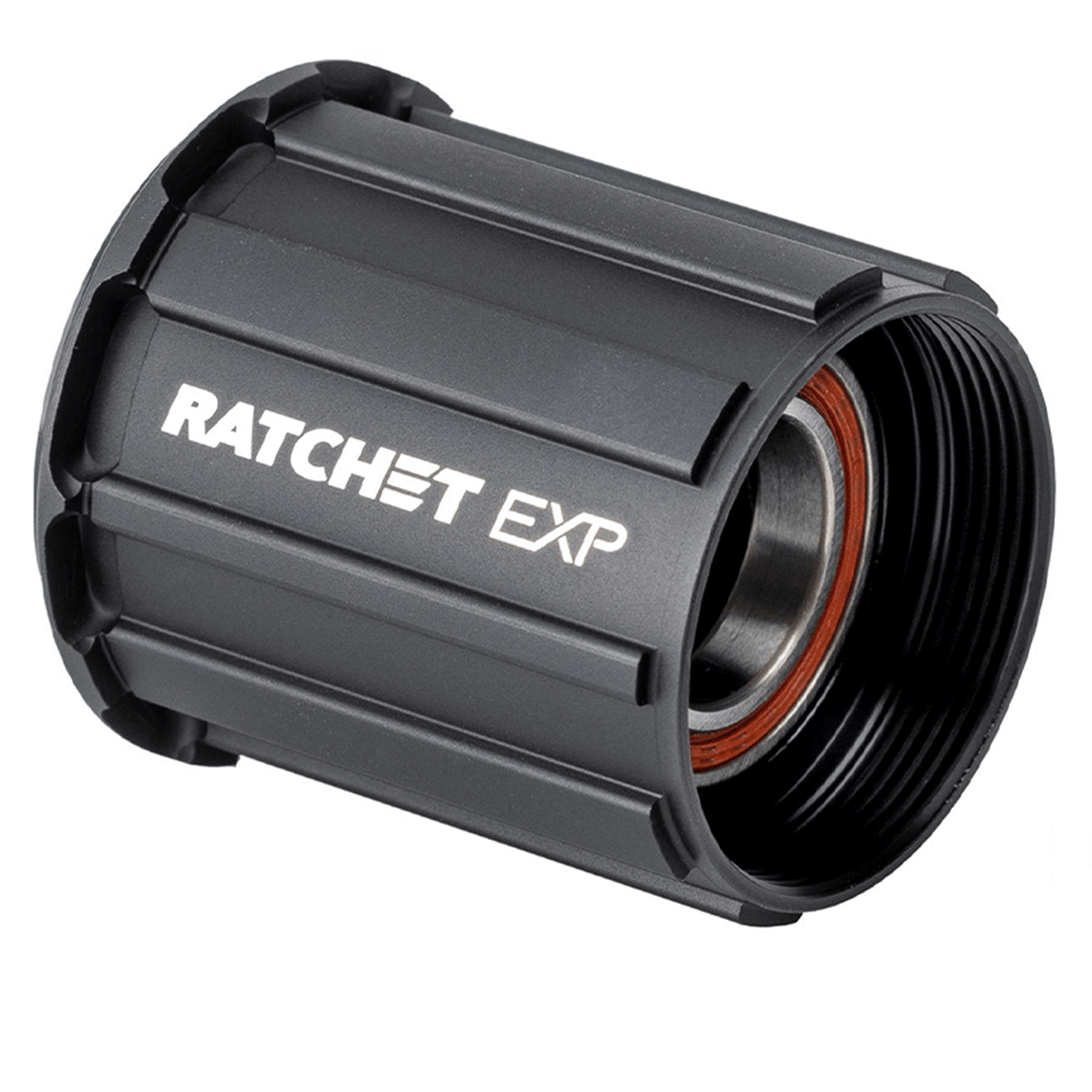 Núcleo de Bicicleta Syncros HG Endcap DT Swiss - Bike Point